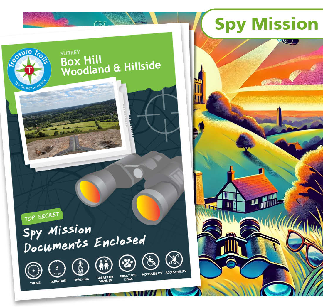 Box Hill Trail | Things To Do In Box Hill | Treasure Trails Surrey